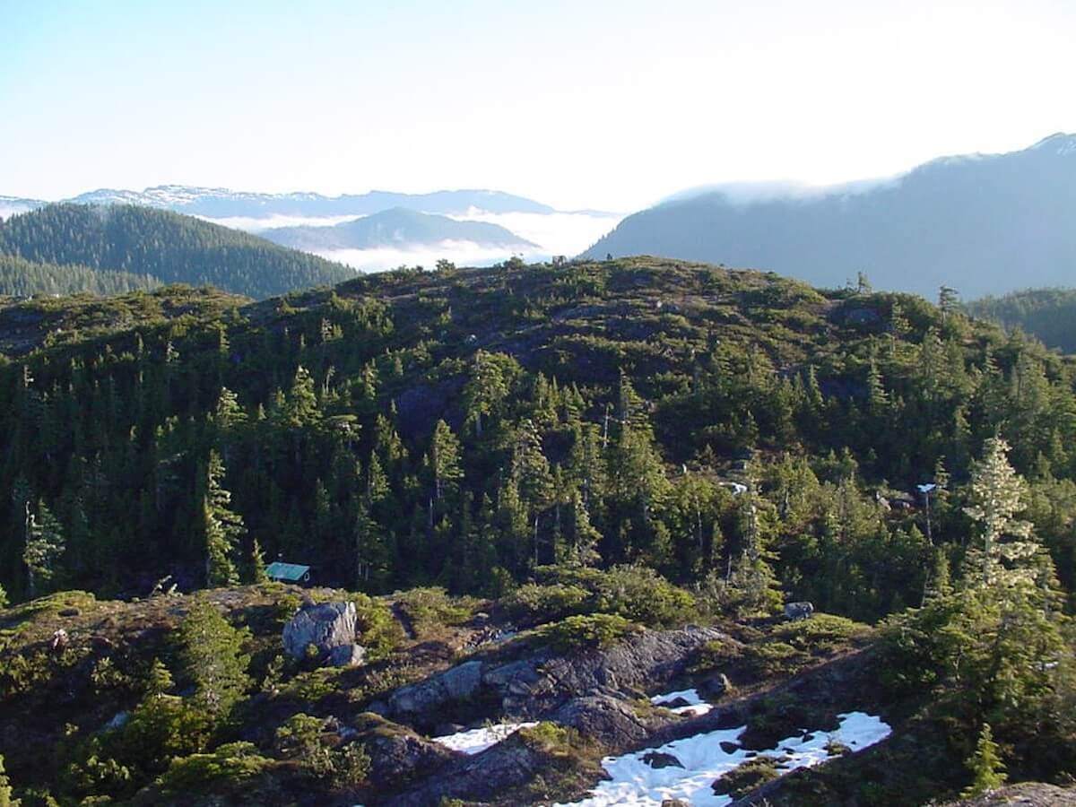 Press Release: Research Quantifies Importance of Tongass National ...