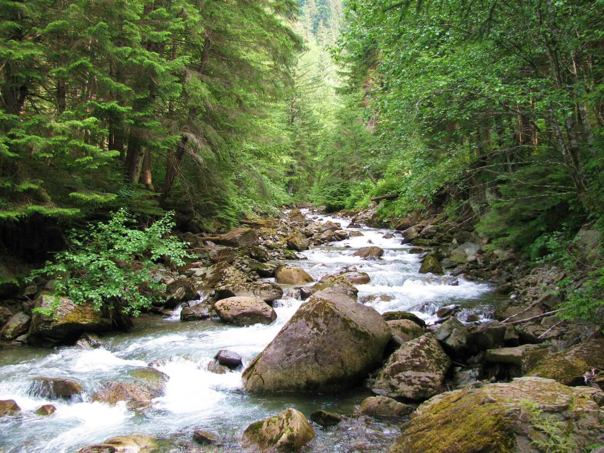 Summary of the Draft Tongass Plan - Southeast Alaska Conservation Council